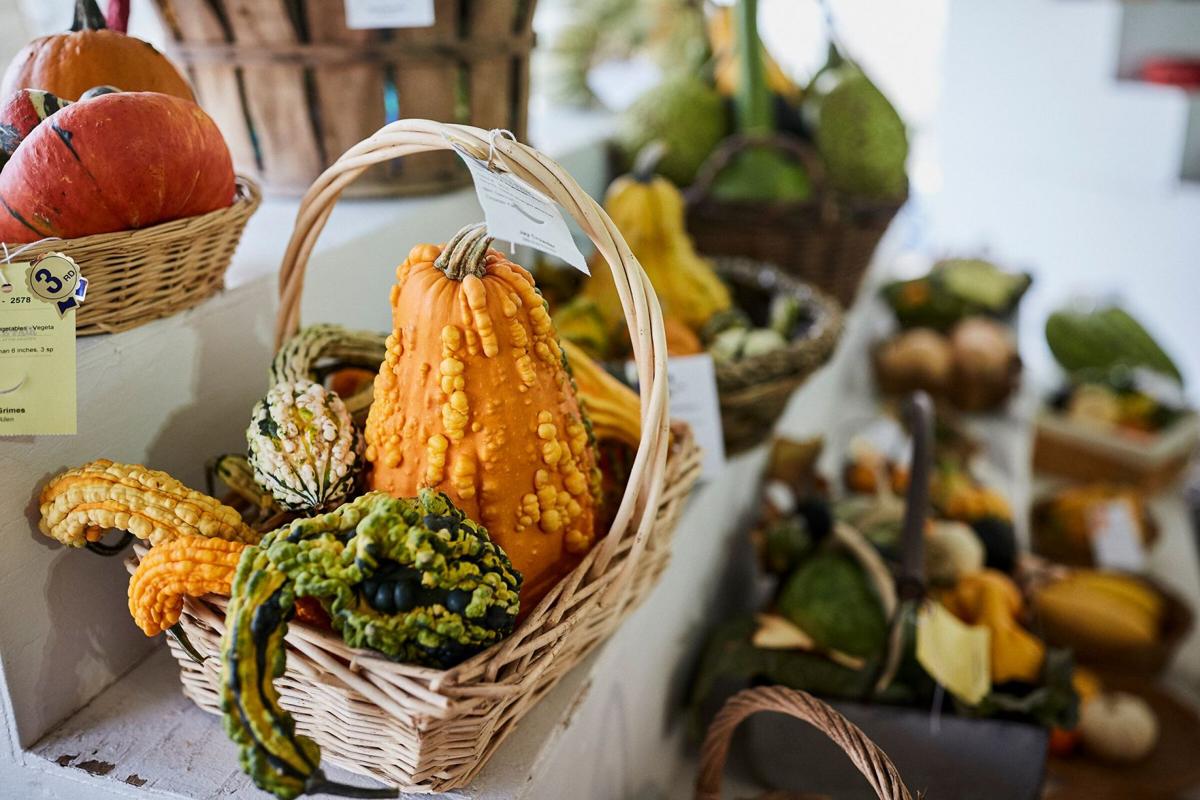 State Fair of Virginia: Celebrate the Farm | State Fair of Virginia ...