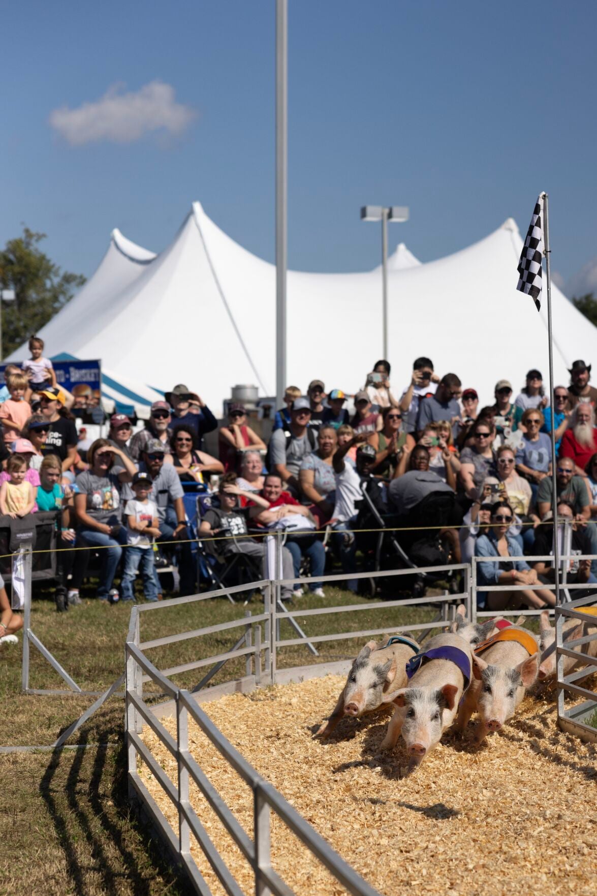 New food options at State Fair of Virginia