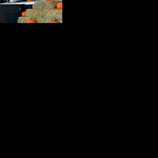 October Festival Guide