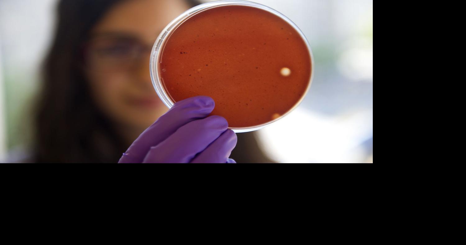 VCU Vaginal Microbiome Consortium