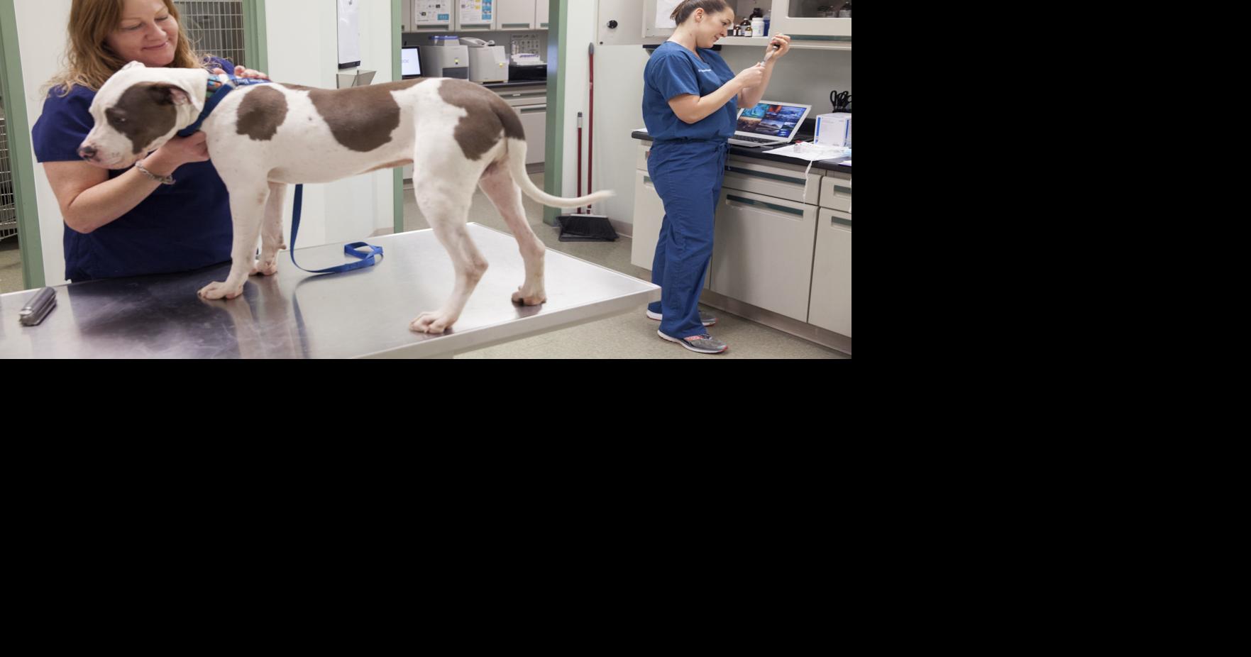 Startup Spotlight: Budding Richmond-area nonprofits get mentoring and ...