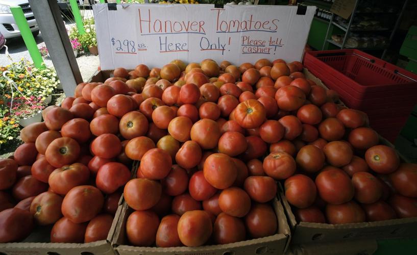 Hanover Tomato Festival is canceled again this year, but Hanover's ...