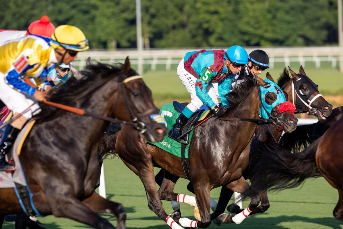 zebra racing colonial downs
