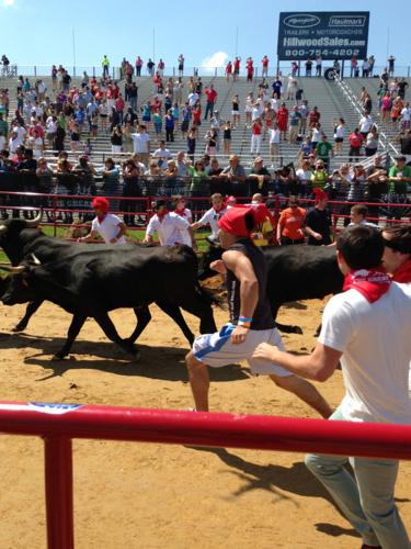 Great Bull Run held in Dinwiddie