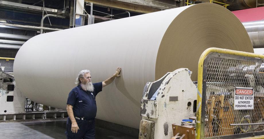 ST Tissue looks to grow at revitalized Isle of Wight paper plant