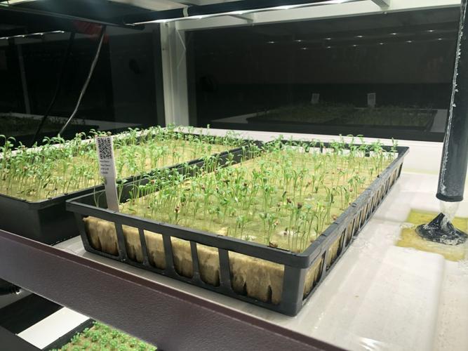 Faces of 2019: Babylon Micro-Farms raises $2.3 million; has plans to ...