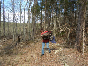 Shooting of young bald eagle was ‘just a sad thing to see’