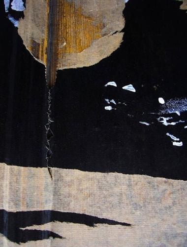 Scalin’s photographs on exhibit at Nest