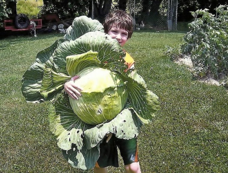 All You Can Eat Column by Cindy Creasy