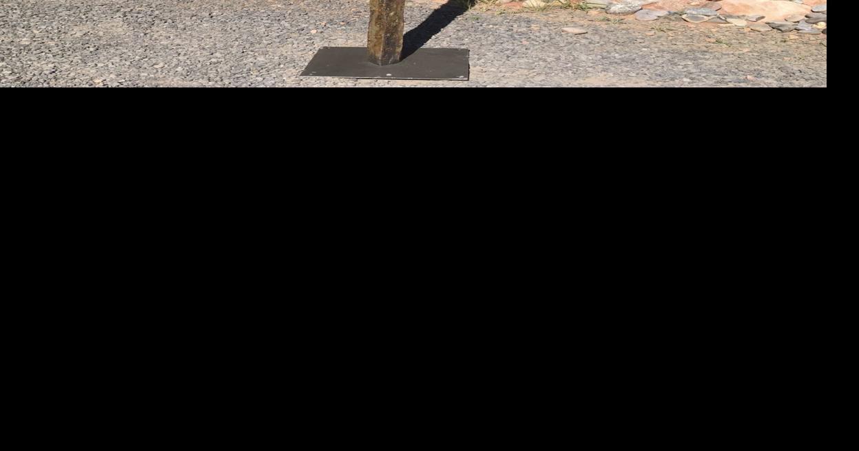 Artist Kevin Box brings origami-inspired sculptures to Lewis Ginter ...