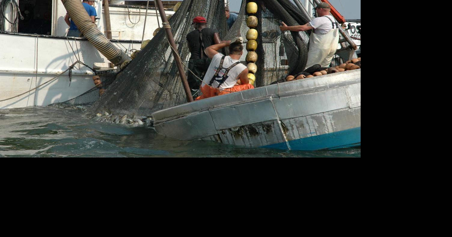 Letter: Noise needed where humans fear to tread