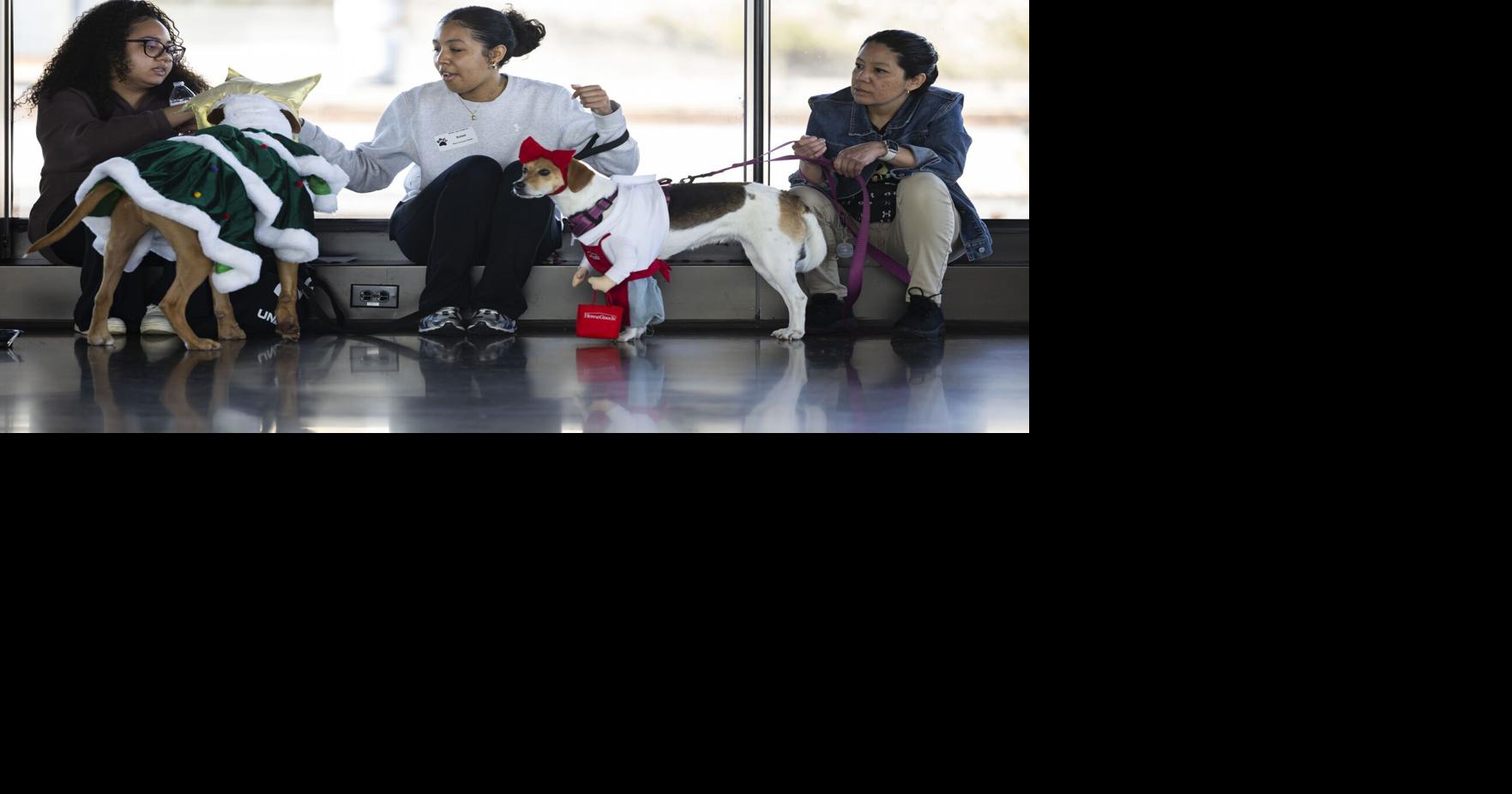 RACC's first dog and cat show held at Main Street Station