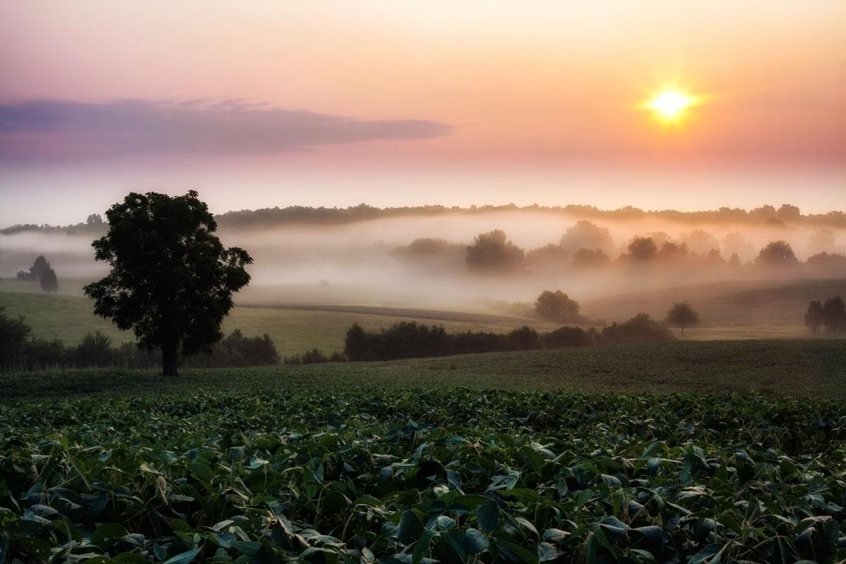 Winners: Scenic Virginia’s annual Virginia Vistas Photo Contest for 2015