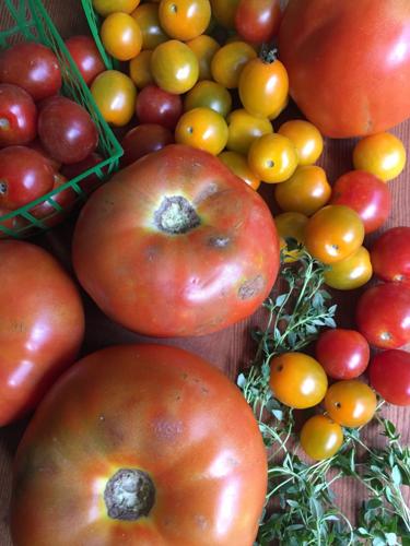 Hanover Tomato Festival is canceled again this year, but Hanover's ...