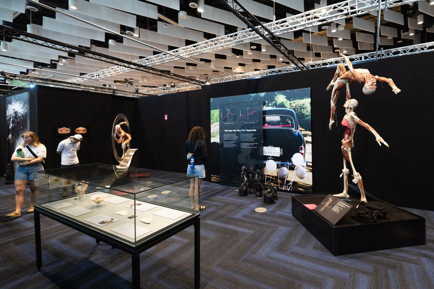 Body Worlds: The Anatomy of Happiness