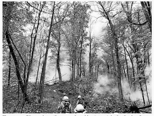 Quaker Run Fire enters Shenandoah National Park