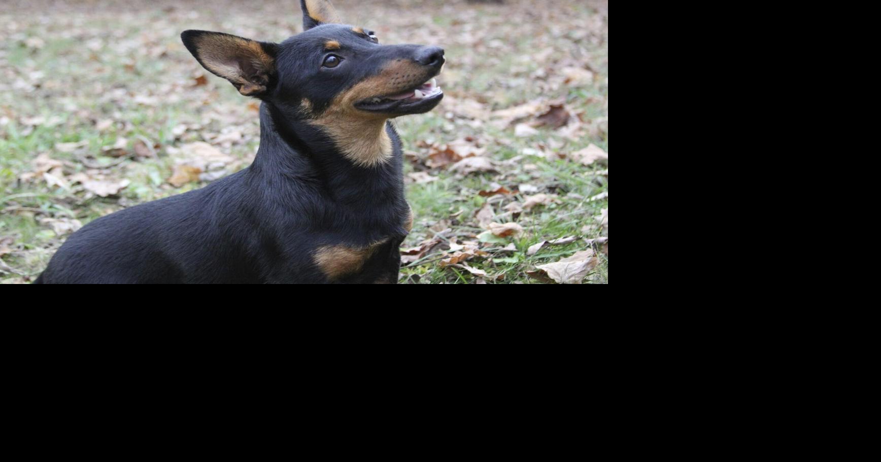 National debt hits record $34 trillion; the best vehicles to start the ...