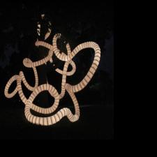 InLight Richmond 2012