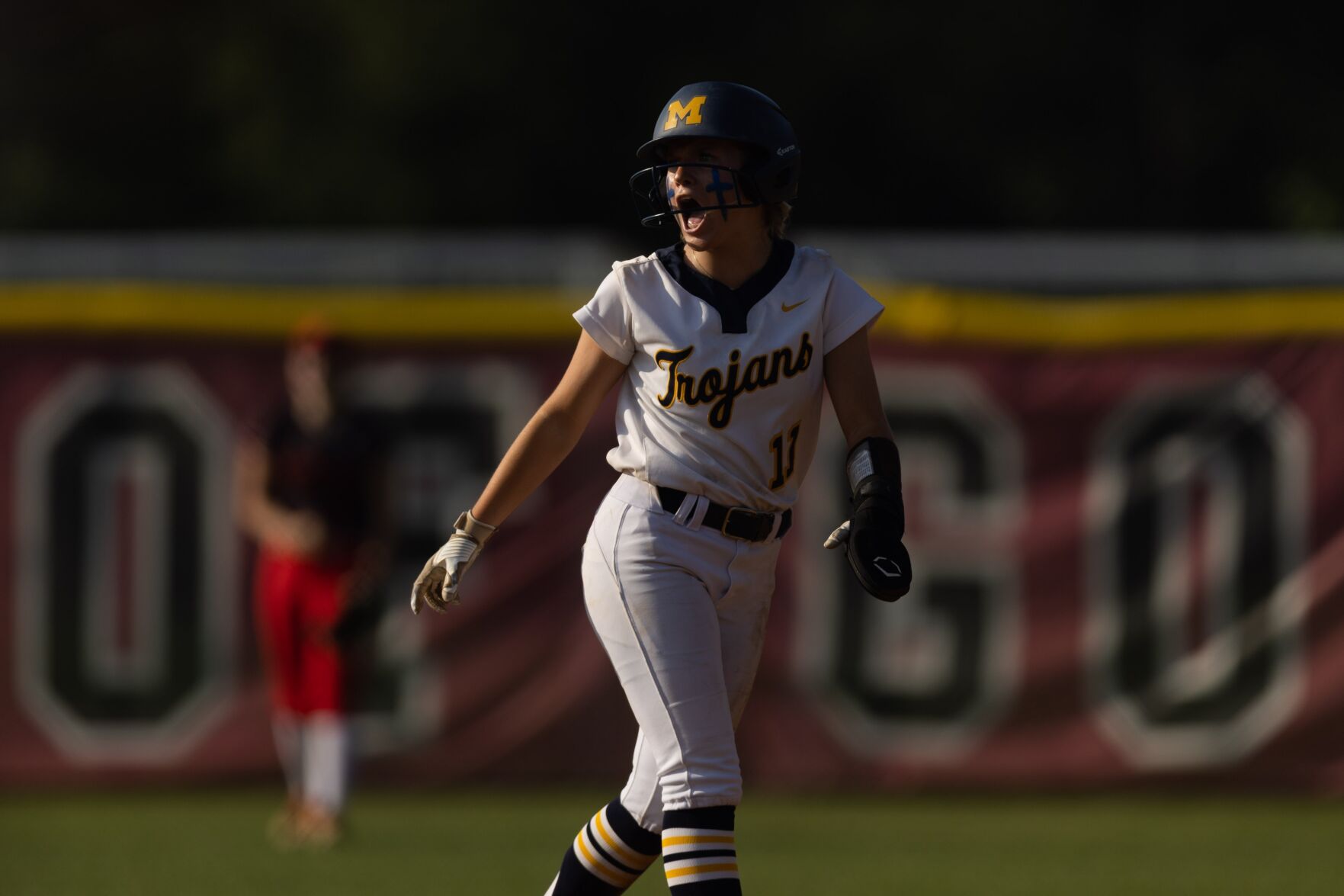 A look ahead at the 2024 high school softball season