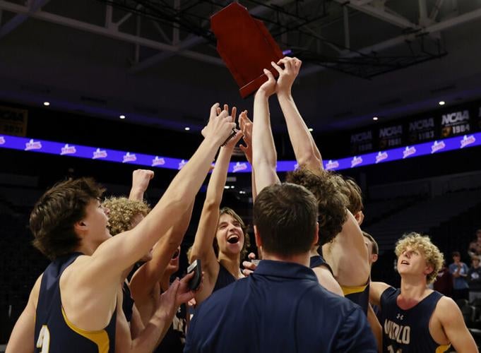 Meet the 2023 All-Metro girls volleyball team