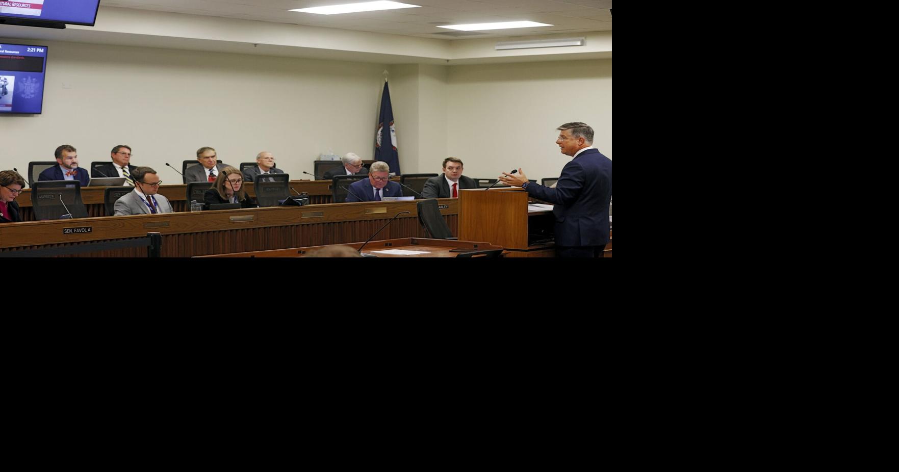 Senate education committee defeats GOP K-12 bills