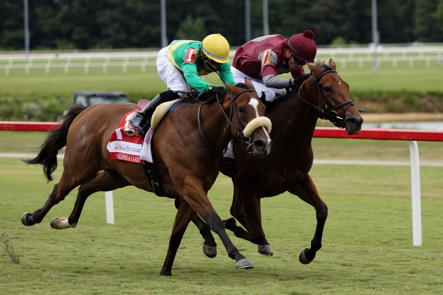 Colonial Downs will have camel, zebra, ostrich races