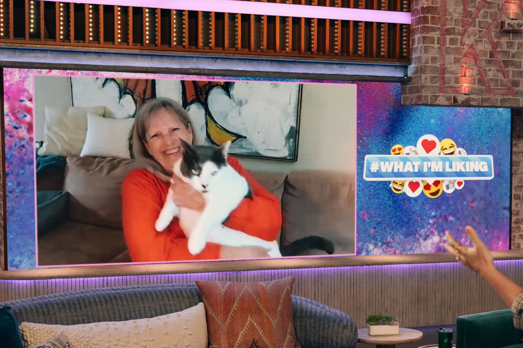 Patches once overweight cat to appear on Kelly Clarkson