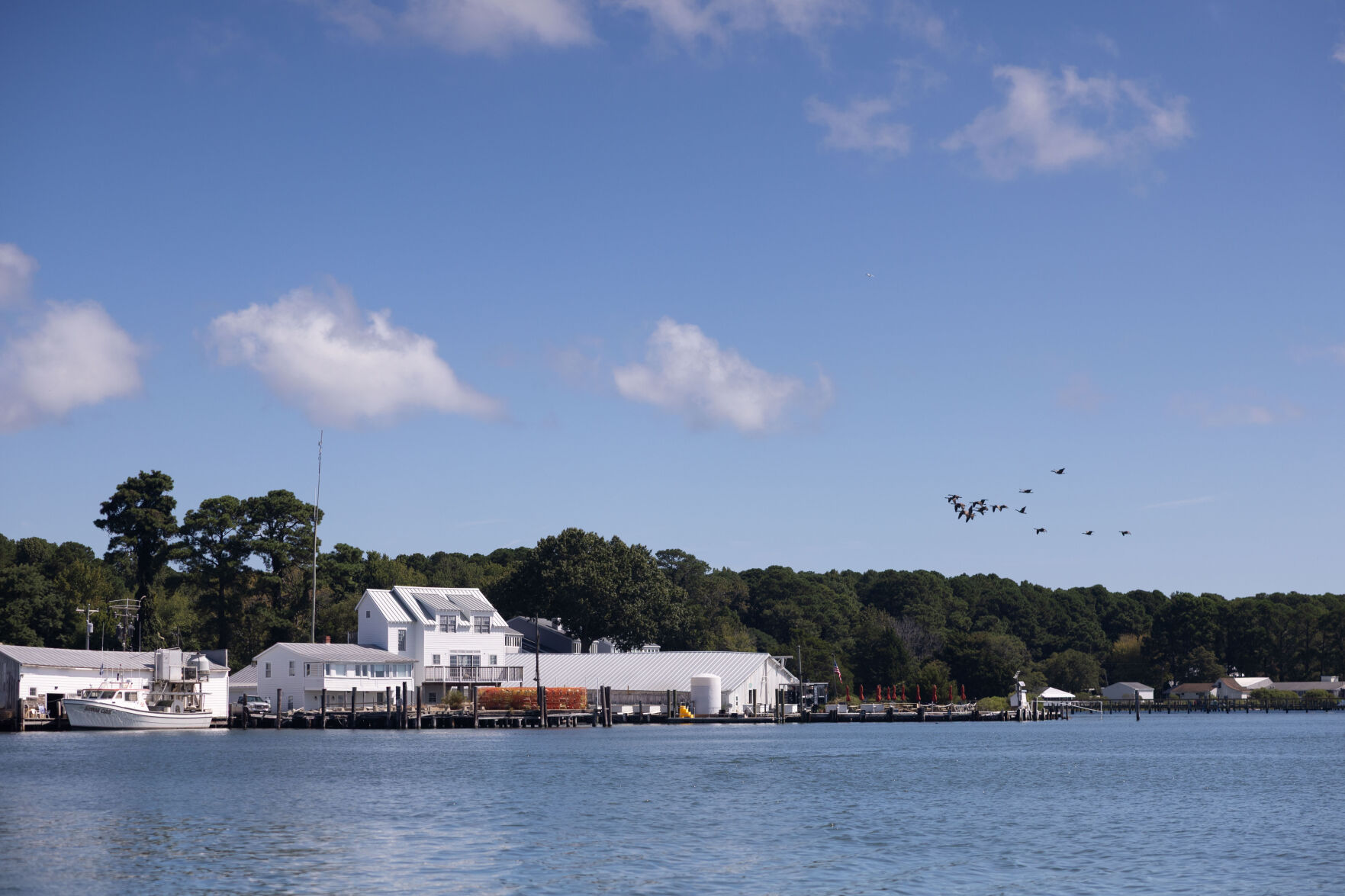 Boathouse oysters are the definition of farm-to-table
