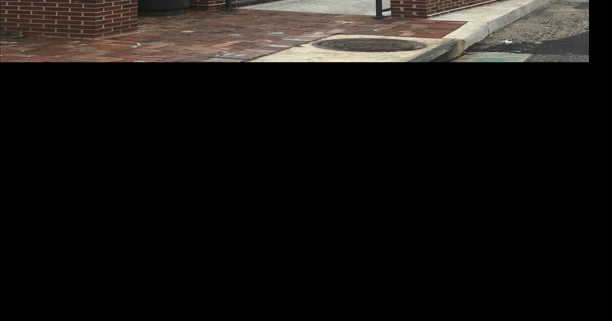 Williams: Bus strike or no bus strike, the Pulse is still taking a ...