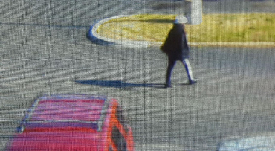 Police searching for Richmond woman who disappeared from Kings Dominion ...