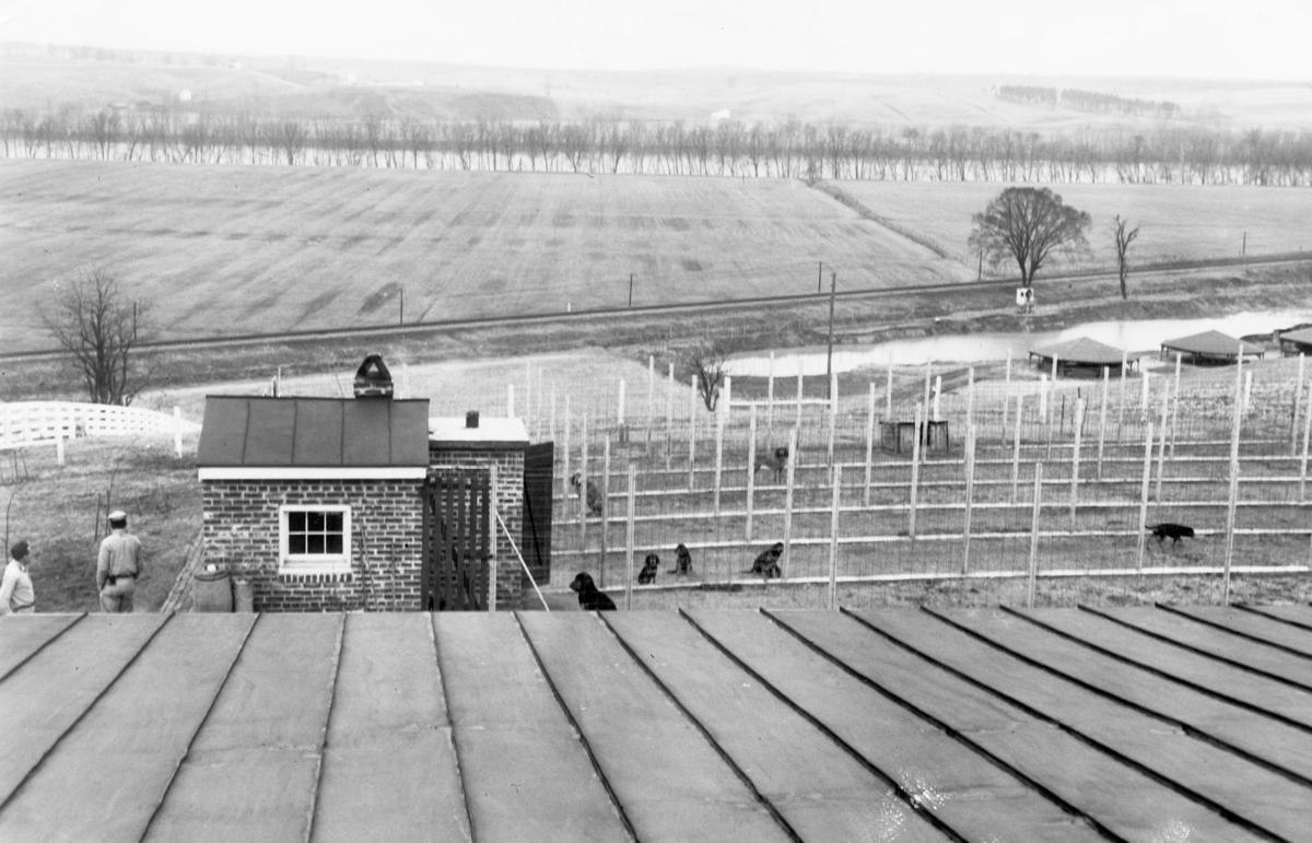 Correctional Officers - Do Inmates eat decent food? > General ...