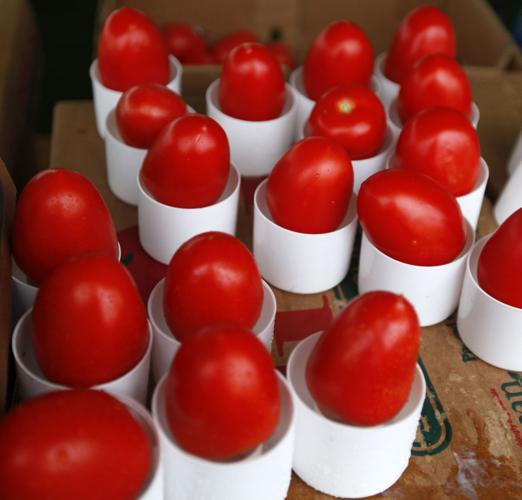 Rain dampens Hanover Tomato Festival