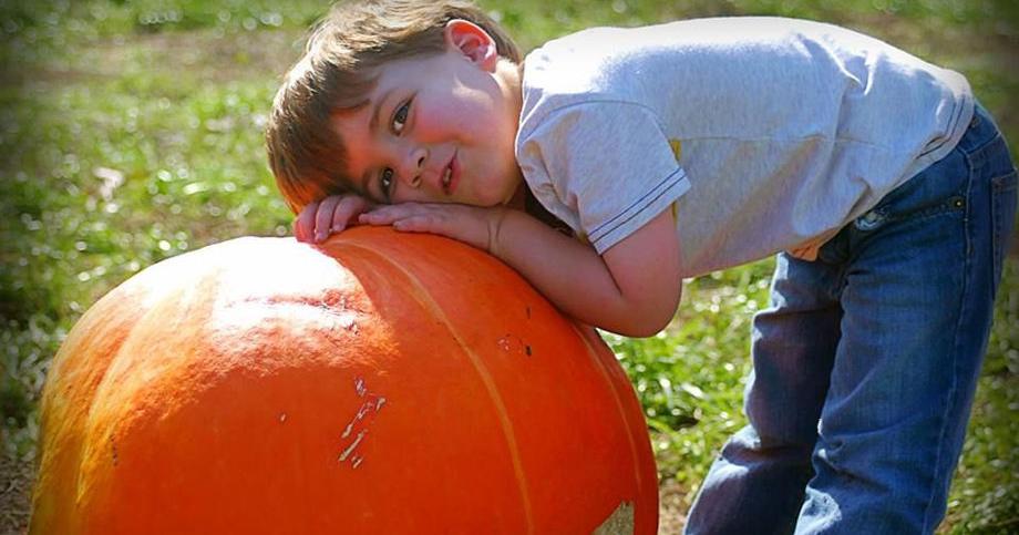 Richmond pumpkin patch guide 2016