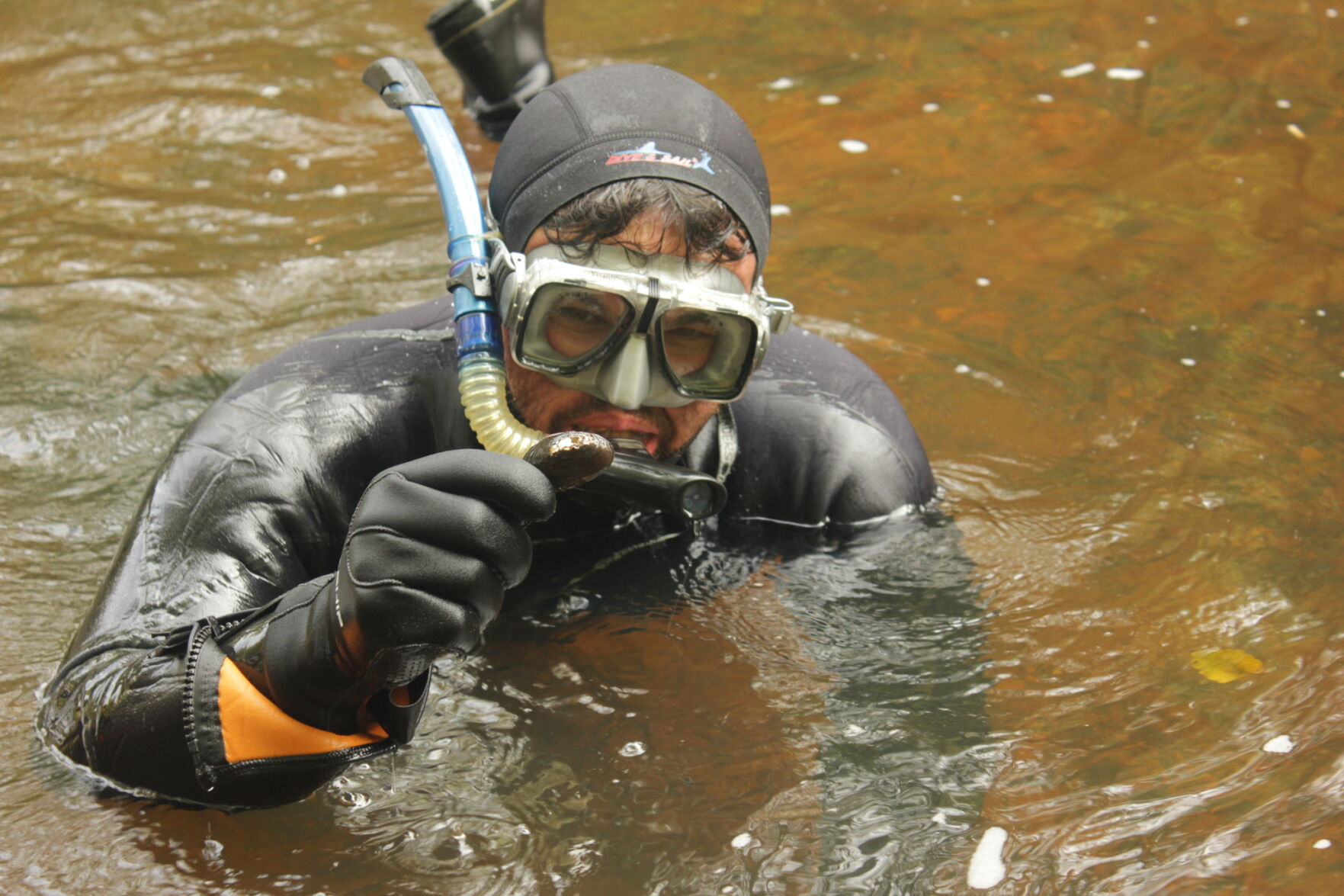 Virginia: Looking for the imperiled freshwater mussel