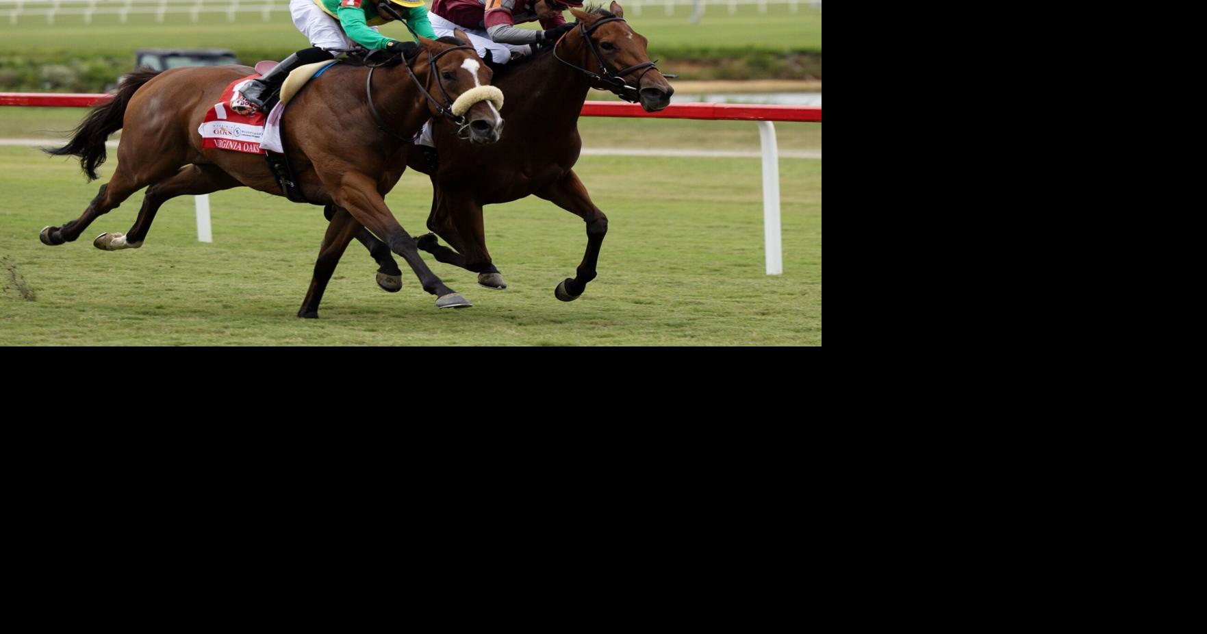 Virginia Racing Commission lacked key measures, audit finds