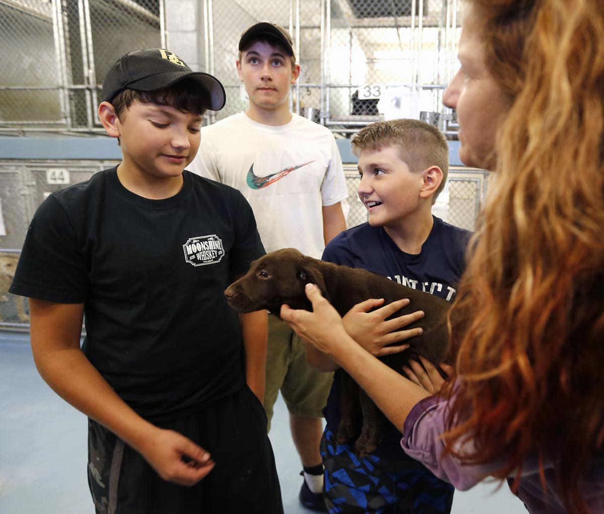 Animal lovers flock to Hanover shelter to adopt dozens of mistreated ...