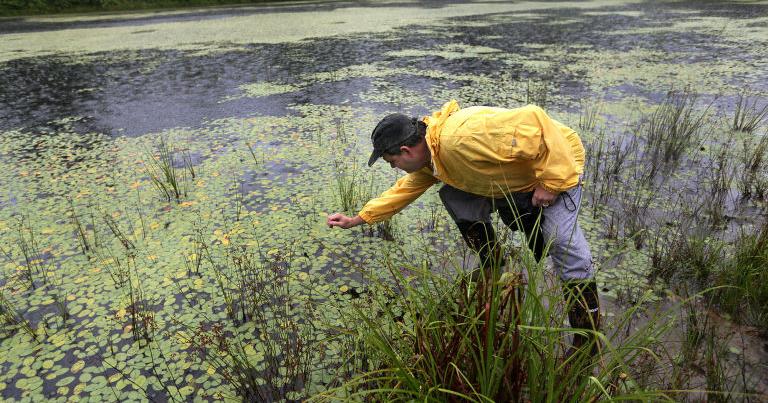 Richmond man hears call of the wild (frogs)