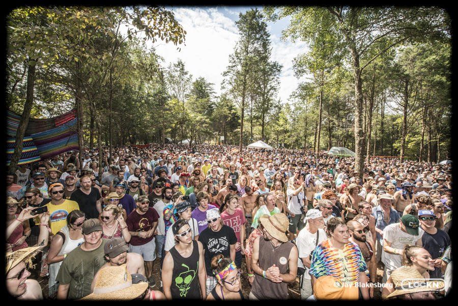 Widespread Panic, Robert Plant and more at Lockn’ 2015