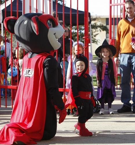 Woody: Squirrels do community work behind the scenes