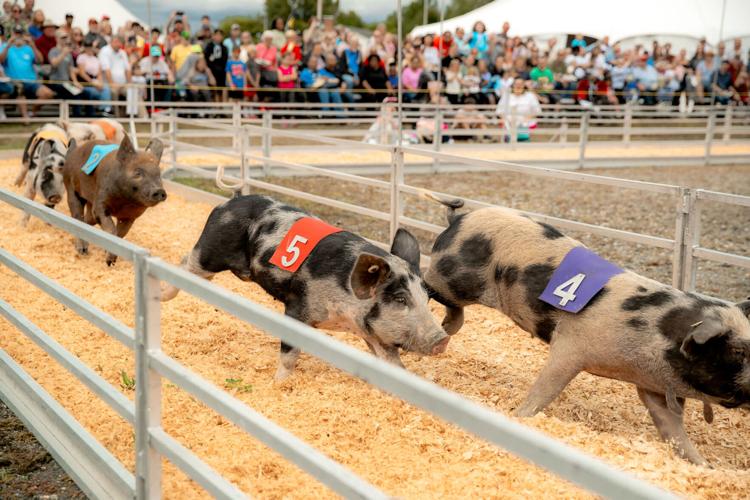Get in on the entertainment at the State Fair of Virginia, from Sept ...