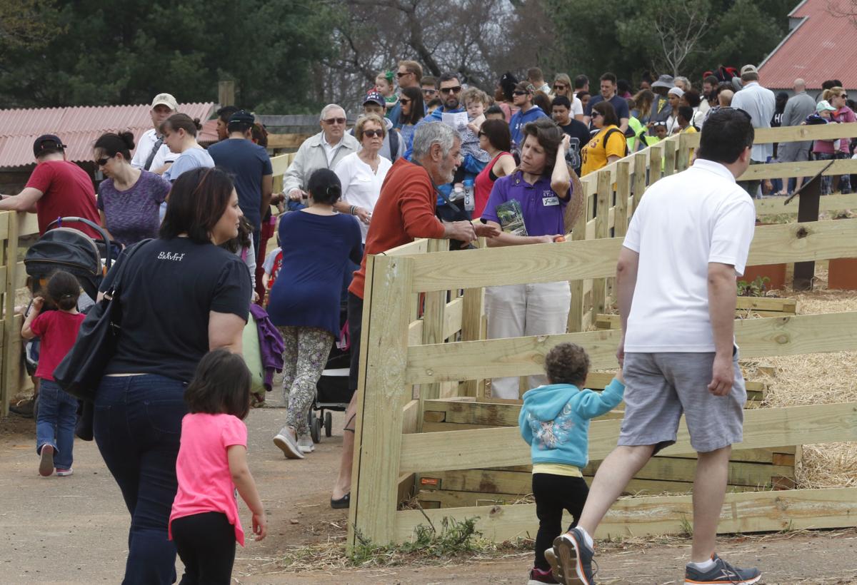 PHOTOS: Maymont Farm Re-opens | Entertainment | richmond.com