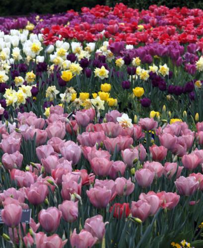 Marsha Mercer column: Finding the light in darkness