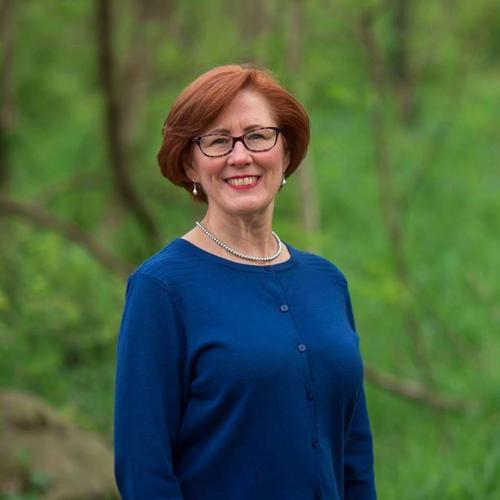 Three Democrats inspired by Trump's election vying to challenge Loupassi