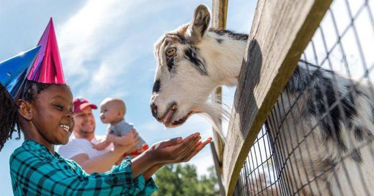 Maymont Farm to re-open March 26 with family-friendly festival