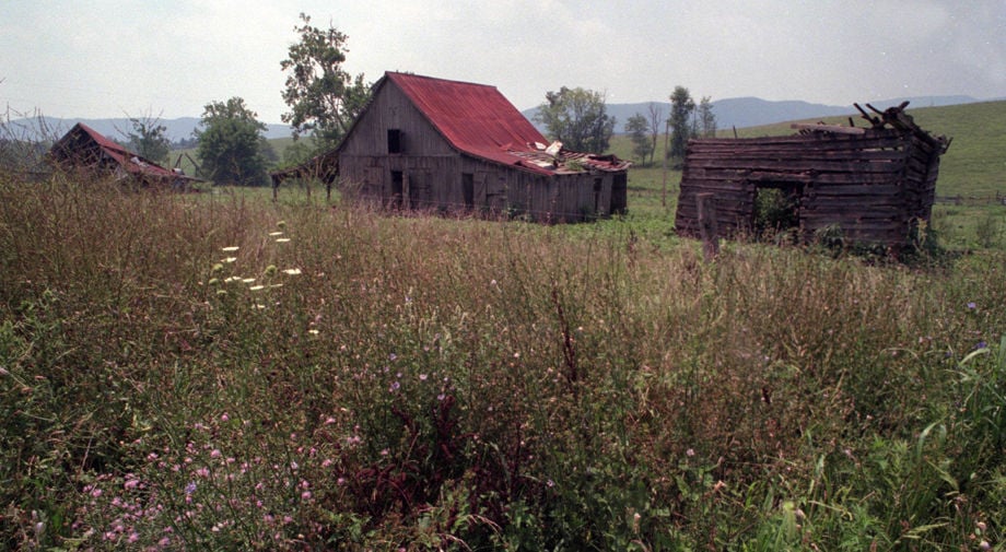 Archaeological digs resume at former Boutetout County plantation site