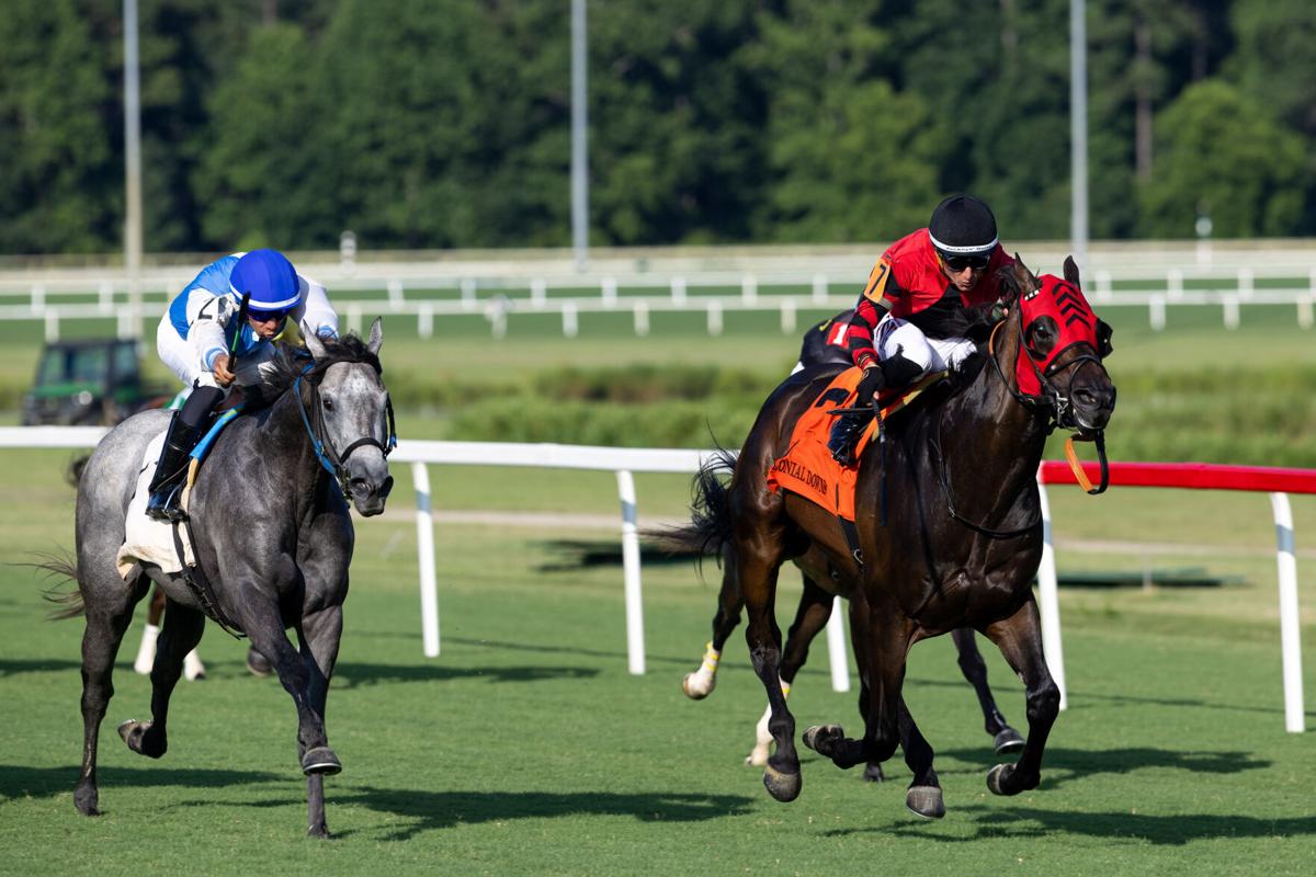 zebra racing colonial downs