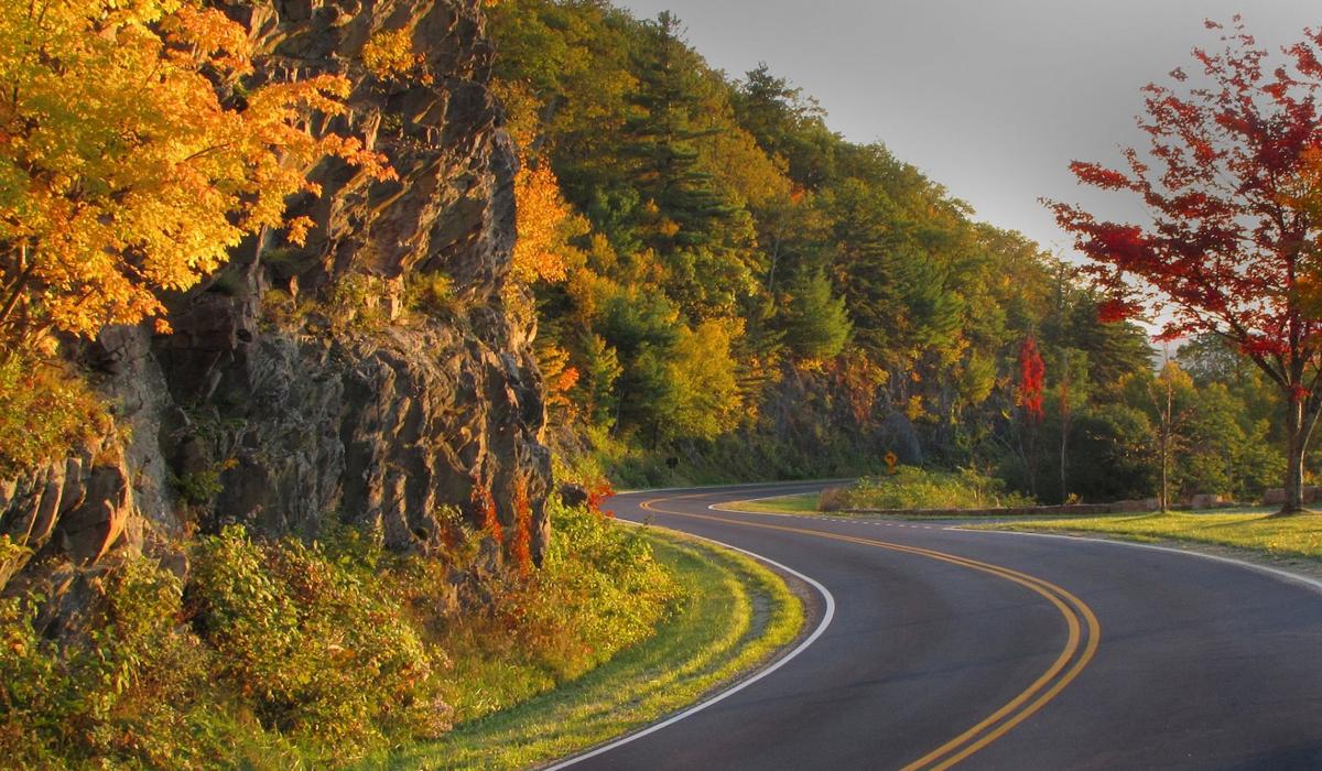 PHOTOS: Fall leaves and Skyline Drive | Virginia | richmond.com