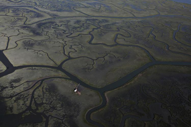 Wick Moorman: Virginia needs investment in conservation to spur the economy