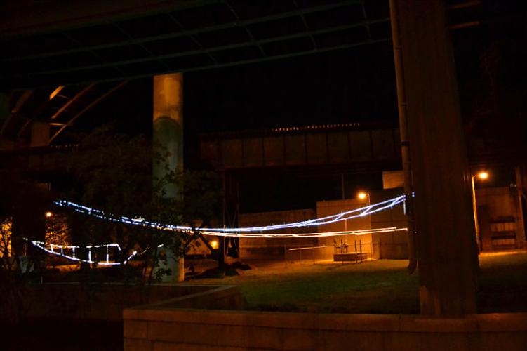 November Festival Guide