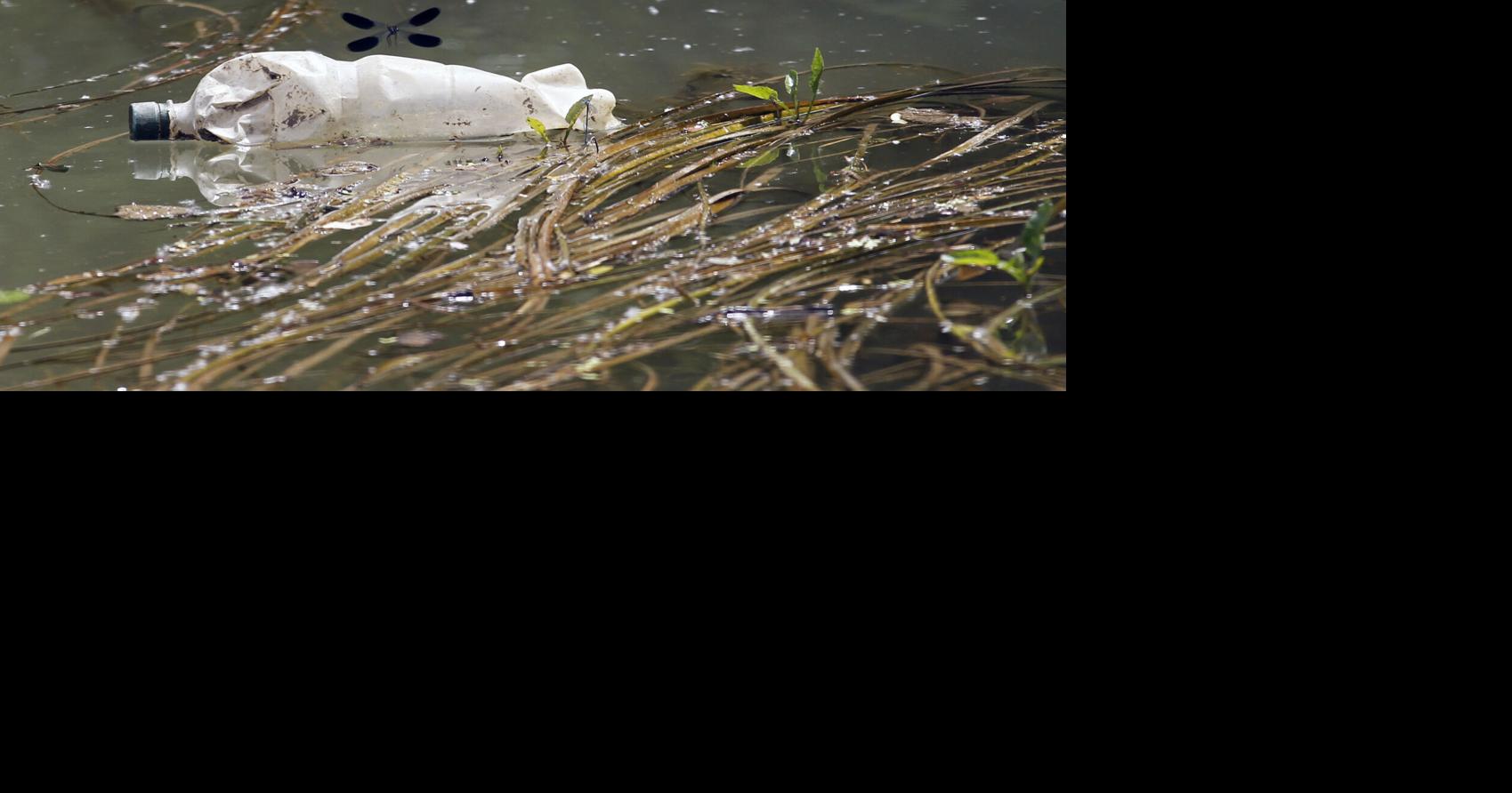 Research: A quarter of freshwater animals threatened